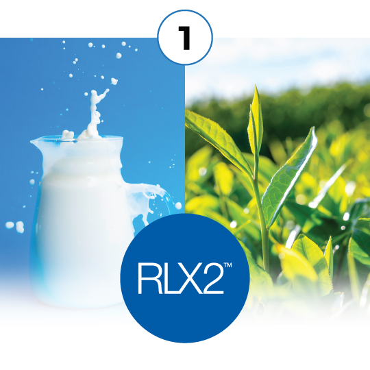 Buy Natural Sleep Supplement Online in Malaysia – Rilax