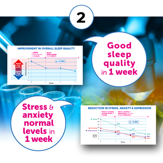 Buy Natural Sleep Supplement Online in Malaysia – Rilax